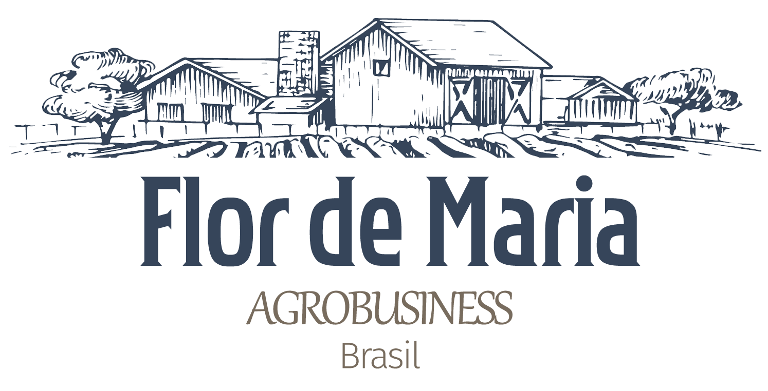 Flor De Maria Agribusiness Representation And Intermediation Flor De Maria Agribusiness Representation And Intermediation